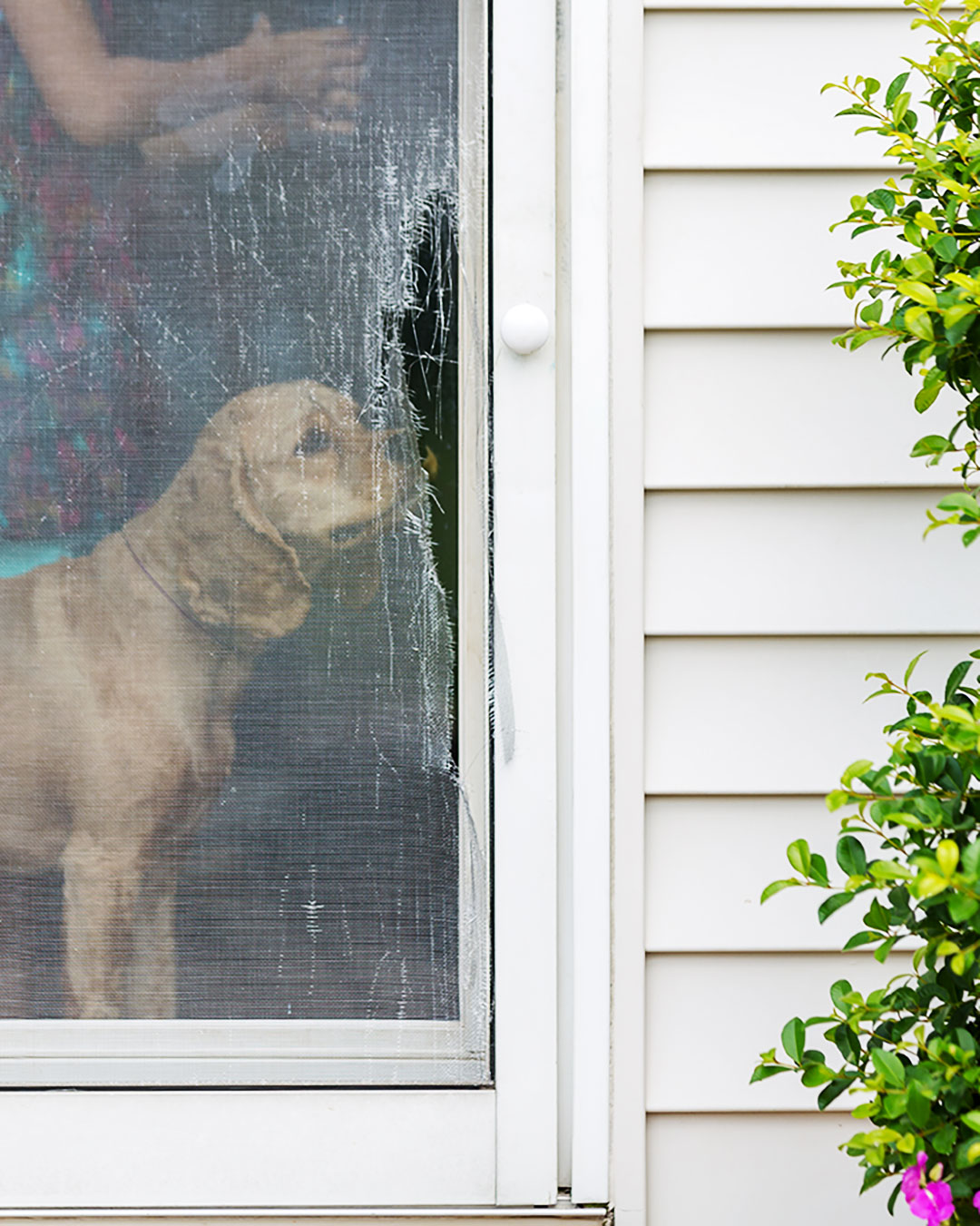 Home • Alpine Mobile Screen Repair